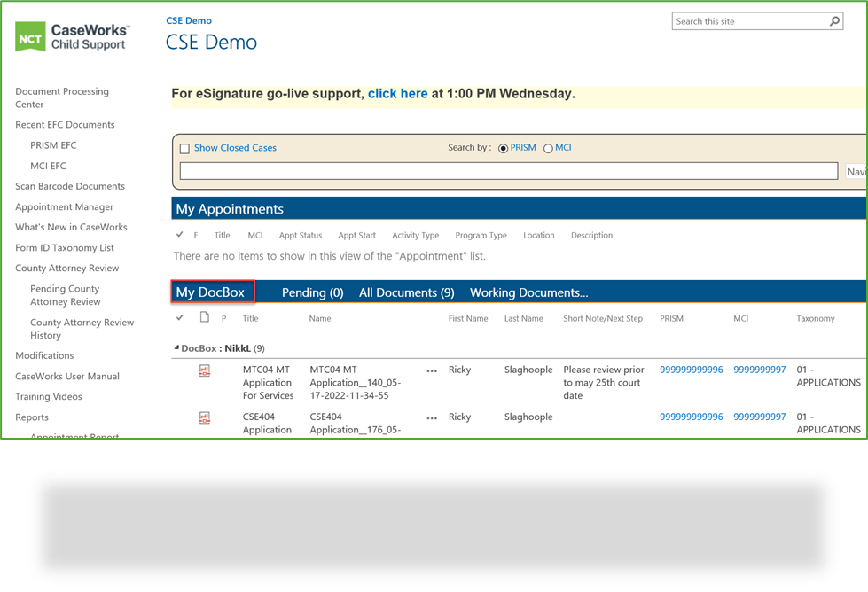 Introduction to DocBoxes – NCT CaseWorks