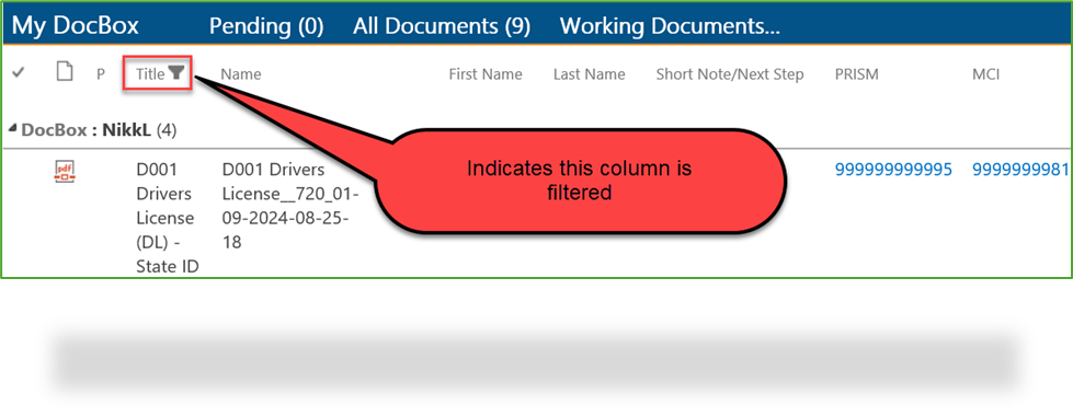 Filter Documents in a DocBox – NCT CaseWorks