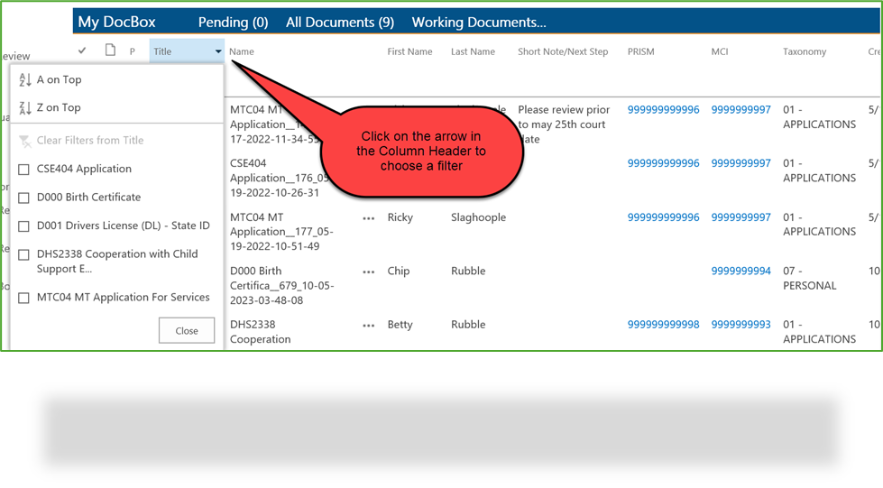 Filter Documents in a DocBox – NCT CaseWorks