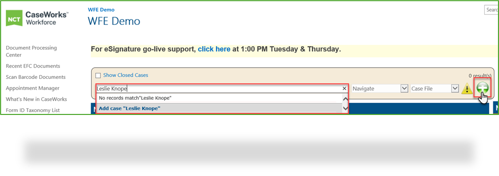 Adding a Record Manually (WFE) – NCT CaseWorks