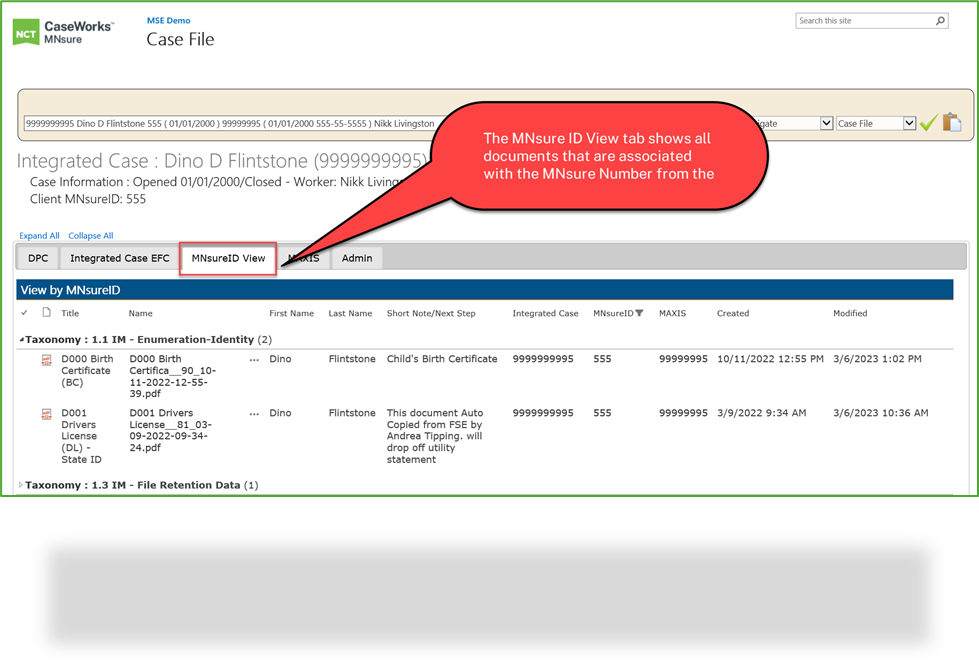 MSE MNsure ID View Tab – NCT CaseWorks