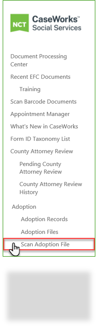 Adoption Add-On Library – NCT CaseWorks
