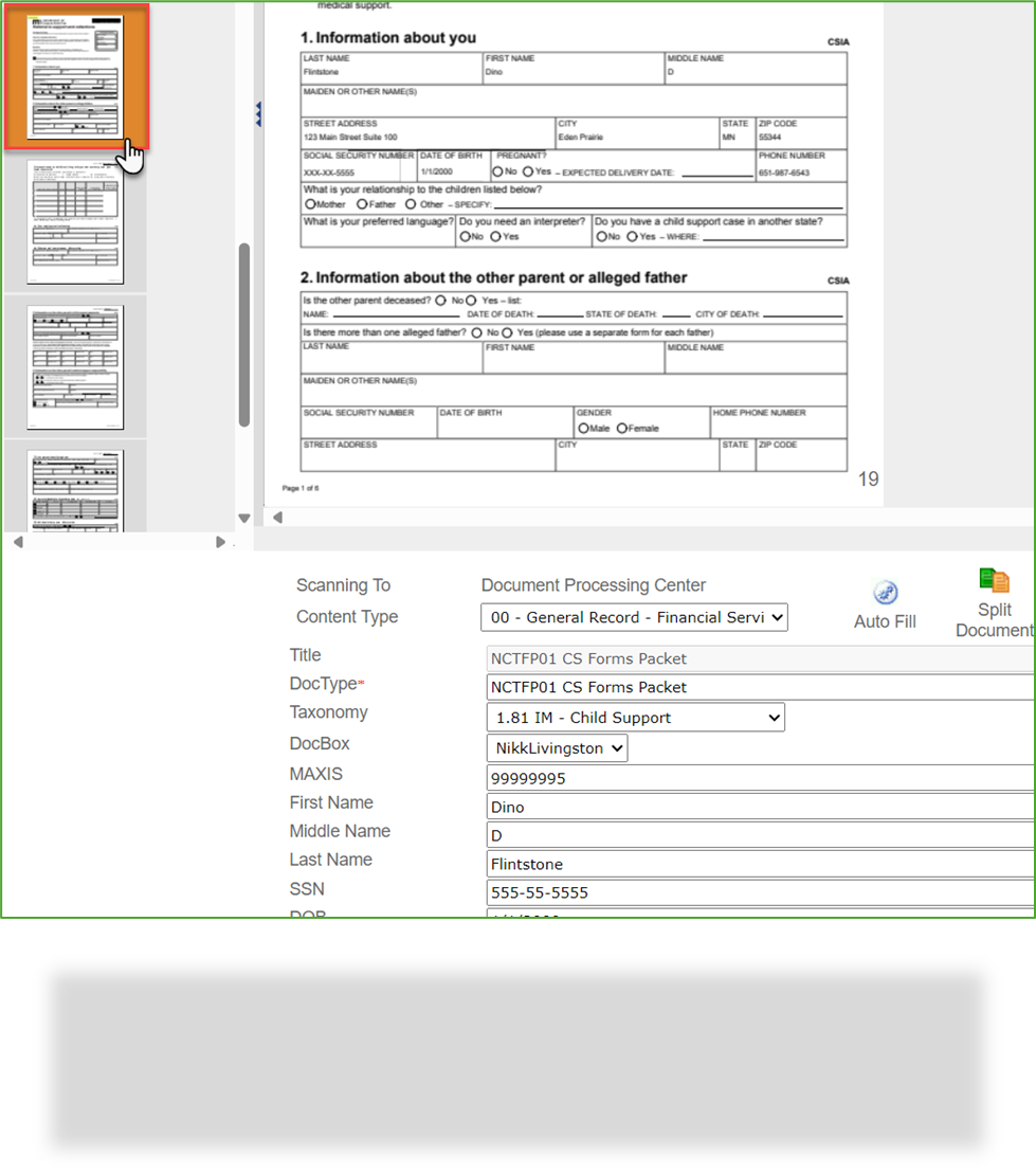 Split a Document – in Edit Properties (NCT) – NCT CaseWorks