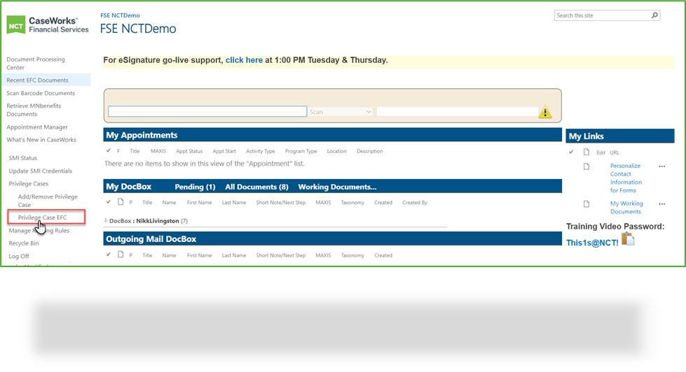 Add Privileged Access for a New User – NCT CaseWorks