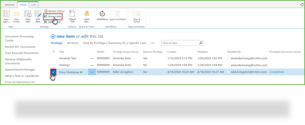 Add Privileged Access for a New User – NCT CaseWorks