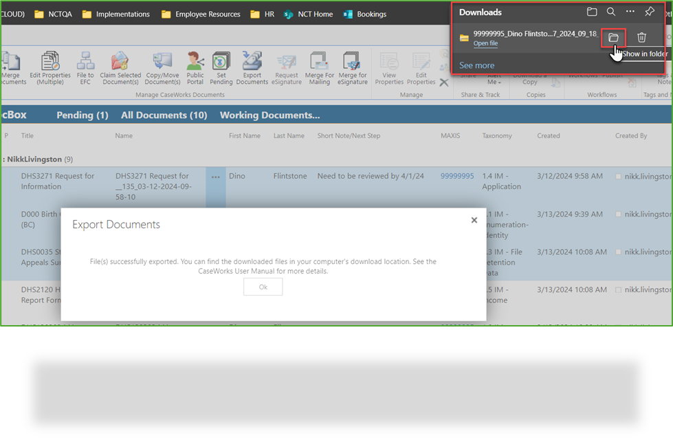 Export Feature (NextGen) – NCT CaseWorks