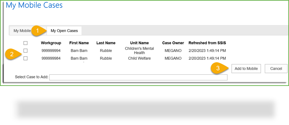 Adding Mobile Cases – NCT CaseWorks