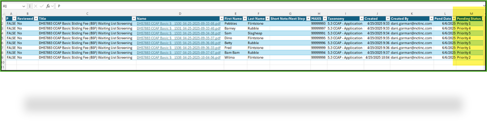 CCAP Waitlist & Screenings Management – NCT CaseWorks