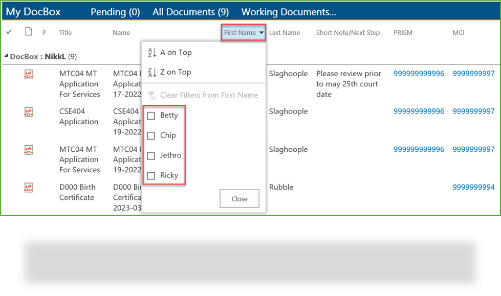New Hires- Filter Documents in a DocBox – NCT CaseWorks