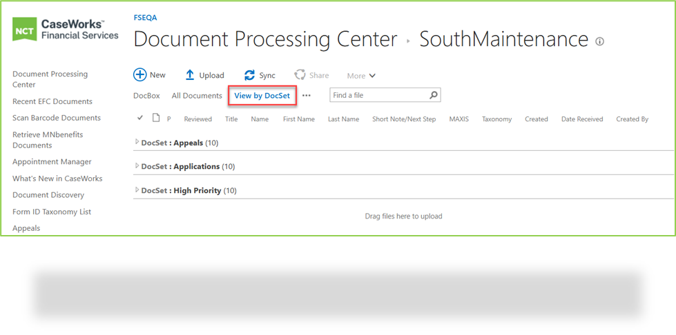 DocSets – NCT CaseWorks